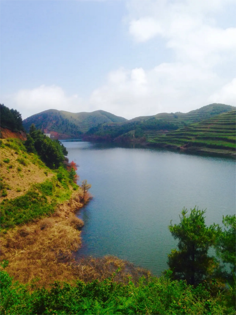 Dongchuan Wild Cow Wind Farm