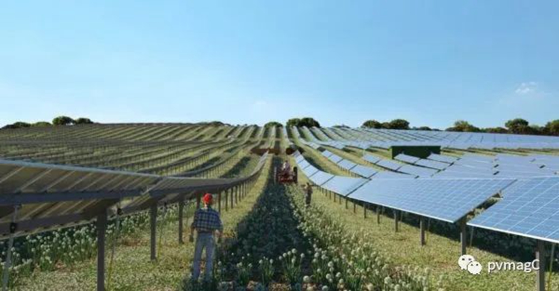 Agro PV Adds Value To Low-yielding Crops - Boland Energy