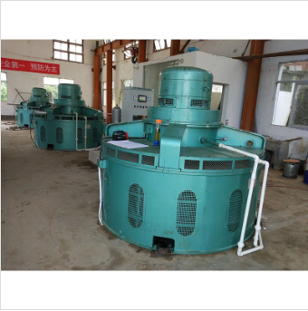 High Voltage Vertical Hydro Generator - Boland Energy